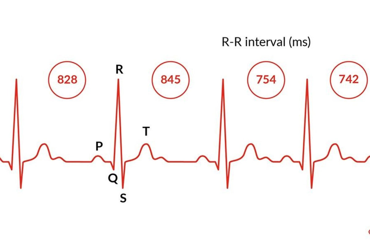 The Pulse Of Performance Understanding Heart Rate Variability